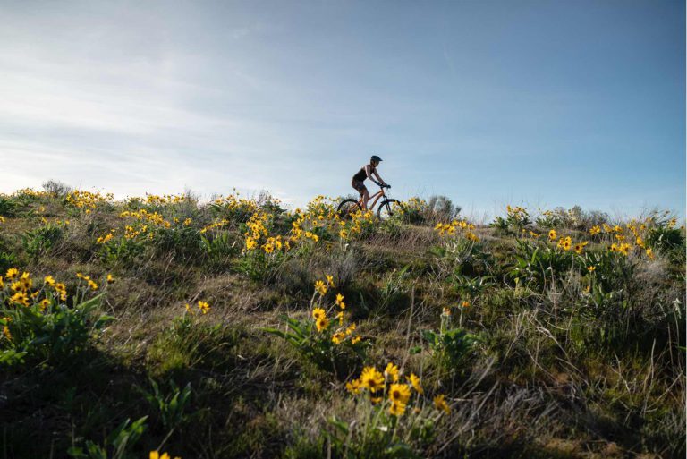 Guide to Boise's Parks | Visit Boise